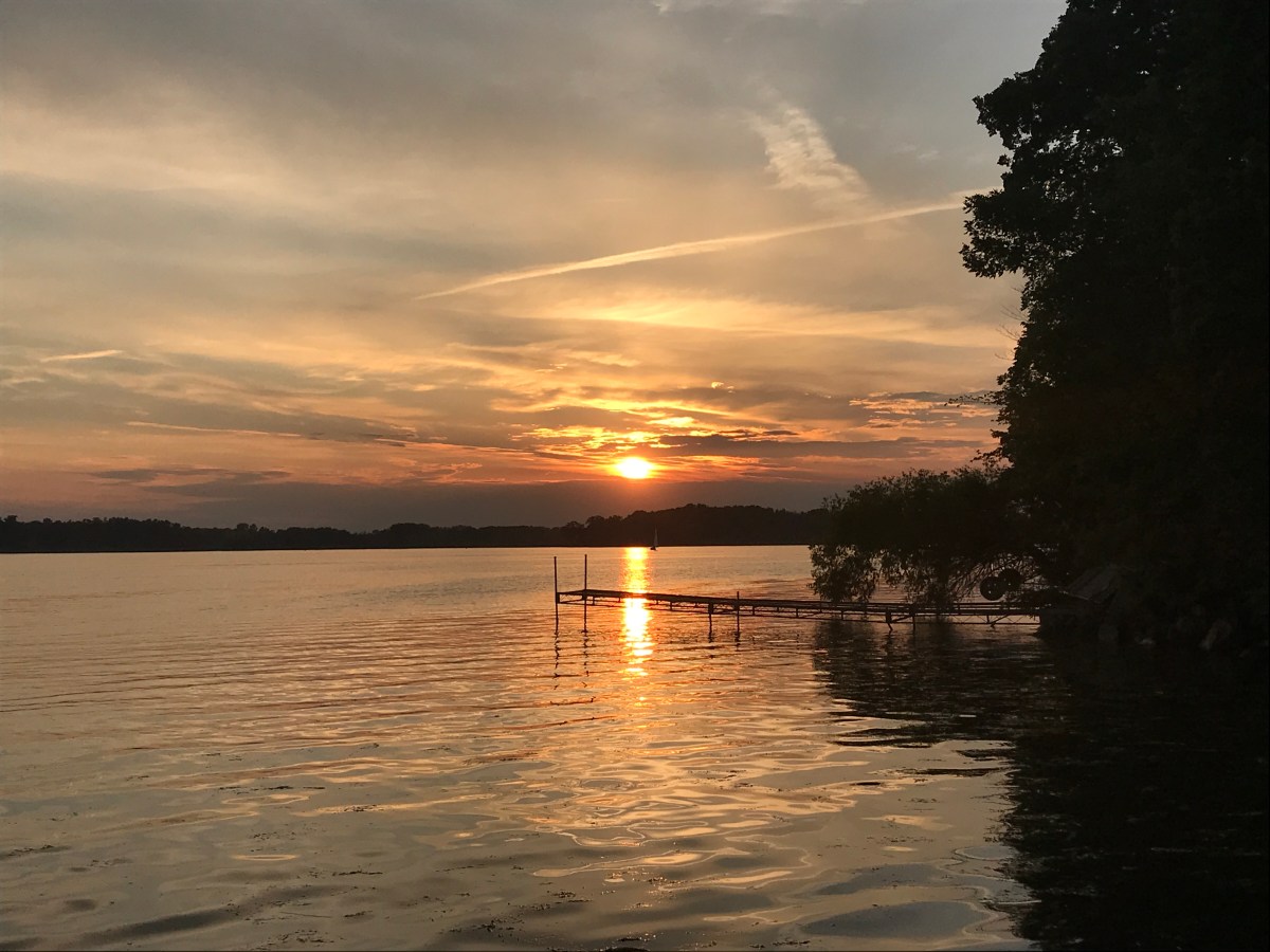 Living the Lake Life – The Wandering Dolphin